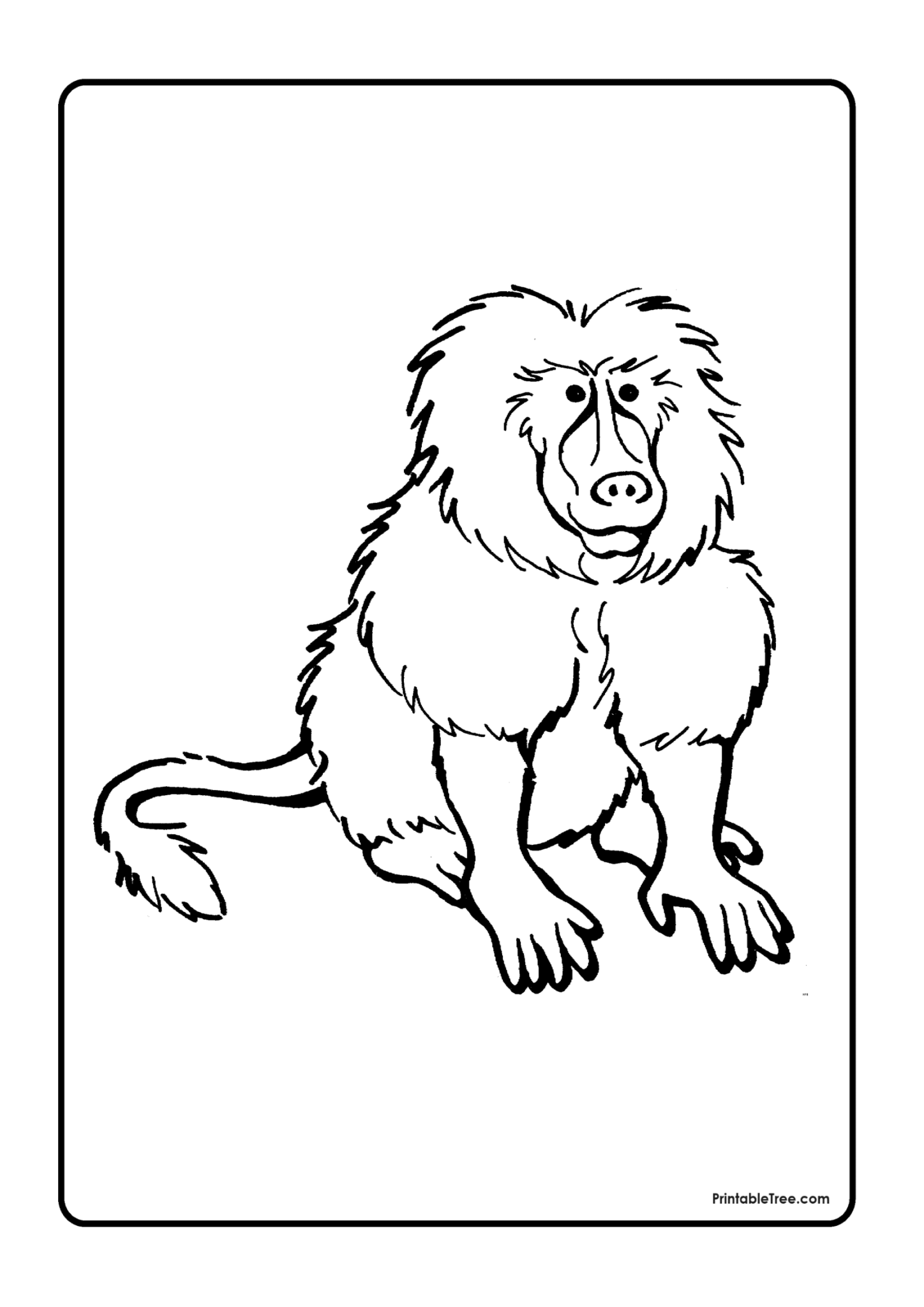 Free Printable Baboon Coloring Pages PDF for Kids and Adults
