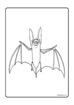 Free Printable Bat Coloring Pages PDF for Kids and Adults