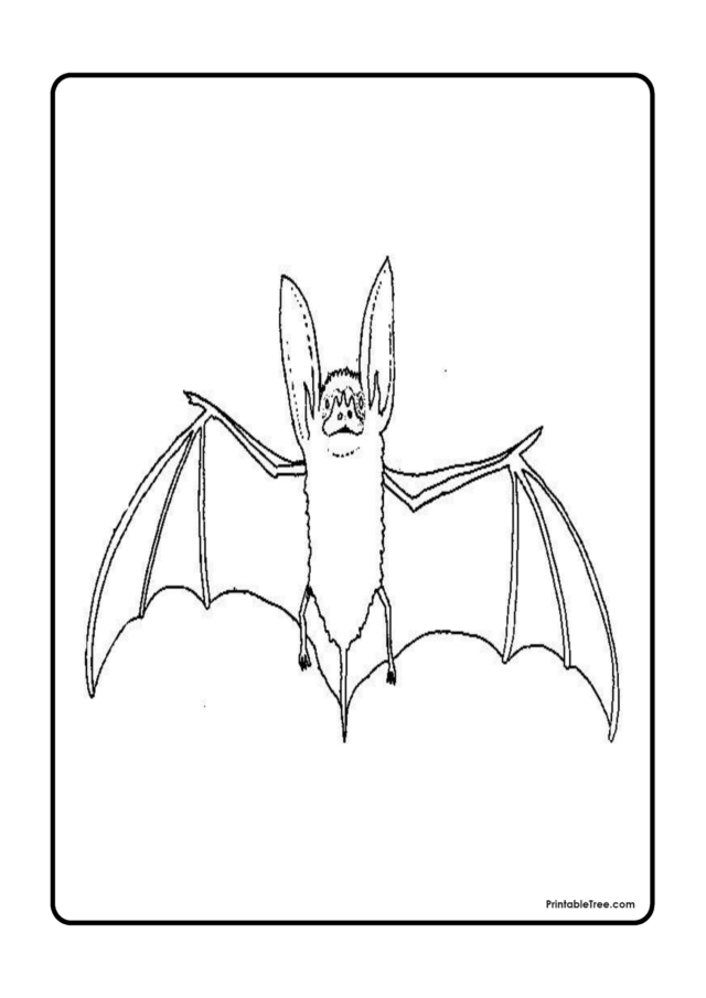 Free Printable Bat Coloring Pages PDF for Kids and Adults