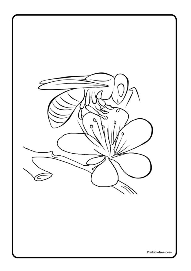 Free Printable Bee Coloring Pages PDF for Kids and Adults