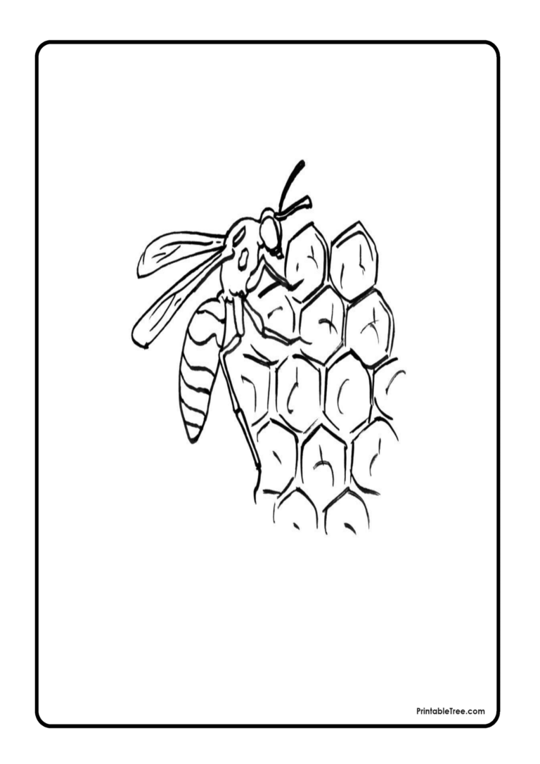Free Printable Bee Coloring Pages PDF for Kids and Adults