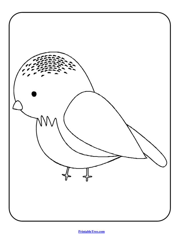 Free Printable Bird Coloring Pages PDF for Kids and Adults