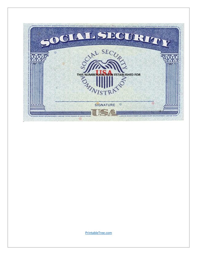 Free Printable Social Security Card PDF Templates(Fake/ Real ...