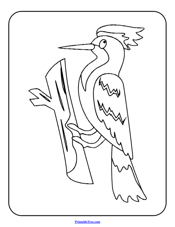 Free Printable Bird Coloring Pages PDF for Kids and Adults