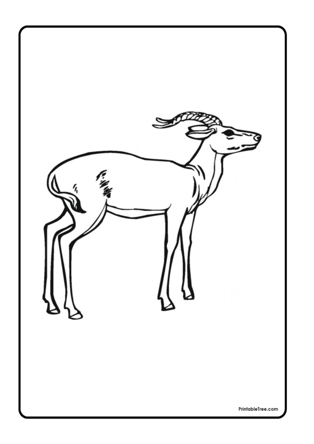Free Printable Antelope Coloring Pages PDF for Kids and Adults