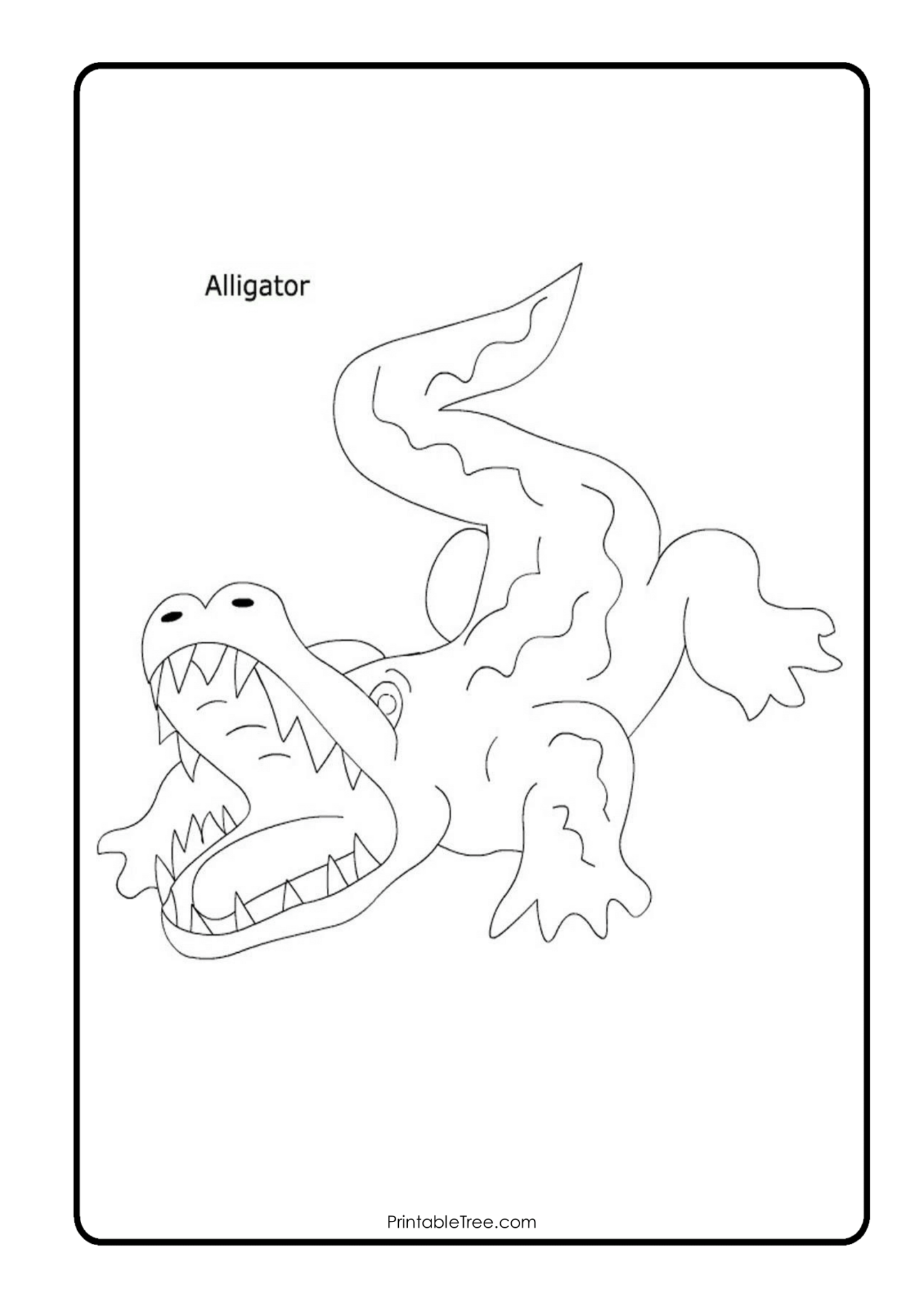Free Printable Alligator Coloring Pages PDF for Kids and Adults